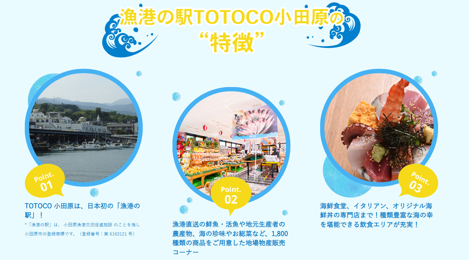 お魚メインの道の駅⁈ 漁港の駅 TOTOCO小田原と注意点をレビュー | 犬と一緒にくるま旅